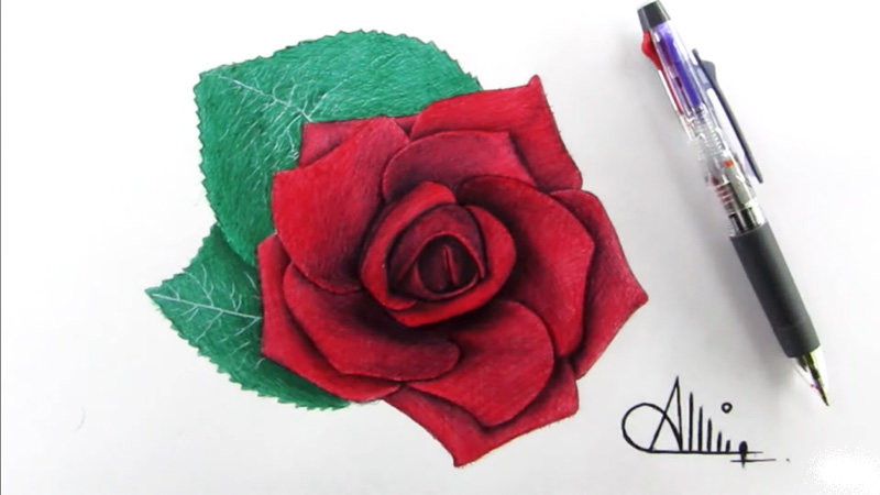 Realistic Rose Drawing: Ultimate Step-by-Step Guide for Beginners ...