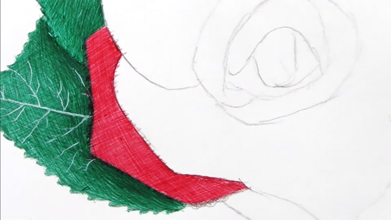 Realistic Rose Drawing: Ultimate Step-by-Step Guide for Beginners ...