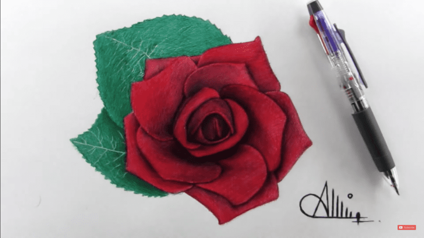 Realistic Rose Drawing: Ultimate Step-by-Step Guide for Beginners ...